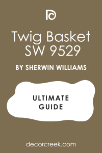 Twig Basket SW 9529 Paint Color by Sherwin Williams - DecorCreek