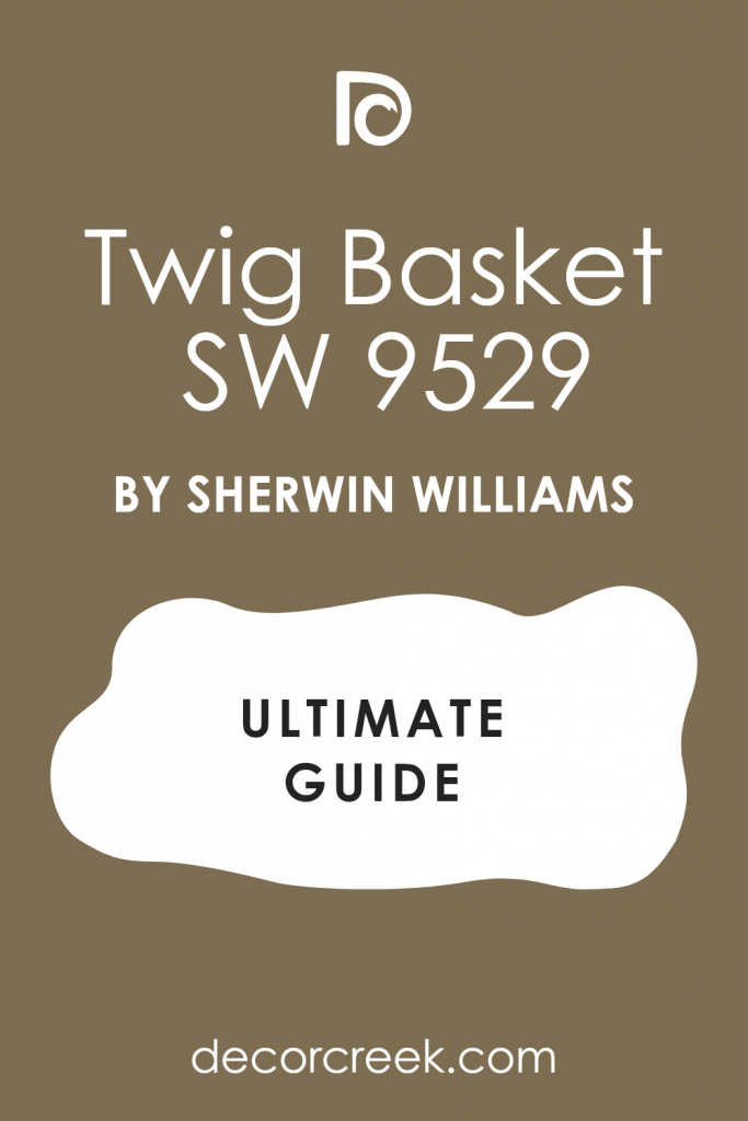 Twig Basket SW 9529 Paint Color by Sherwin Williams - DecorCreek