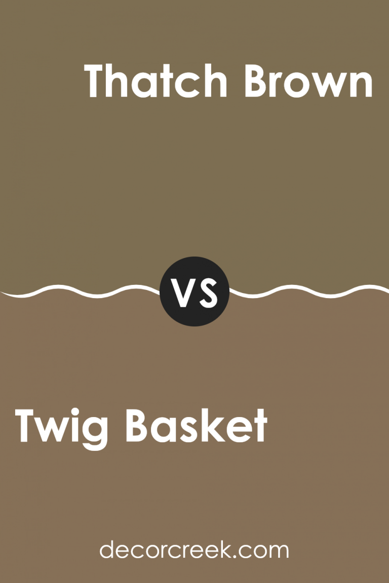 Twig Basket SW 9529 Paint Color by Sherwin Williams - DecorCreek
