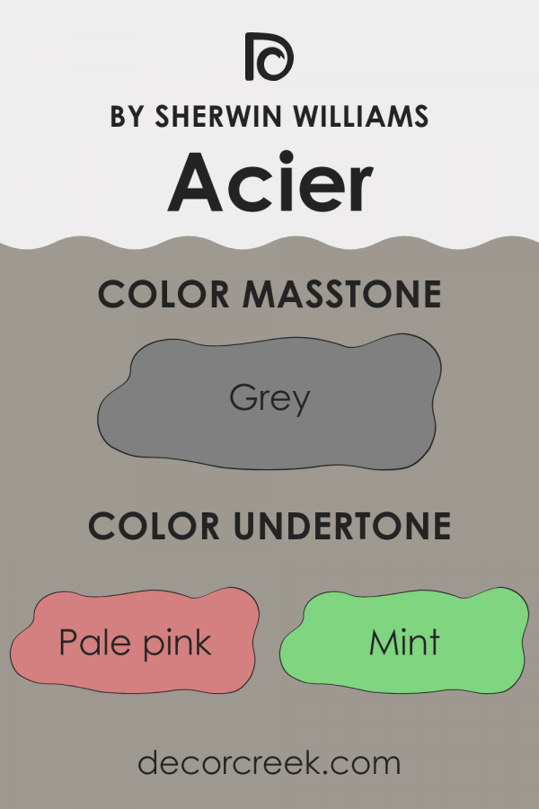 Acier SW 9170 Paint Color by Sherwin Williams - DecorCreek