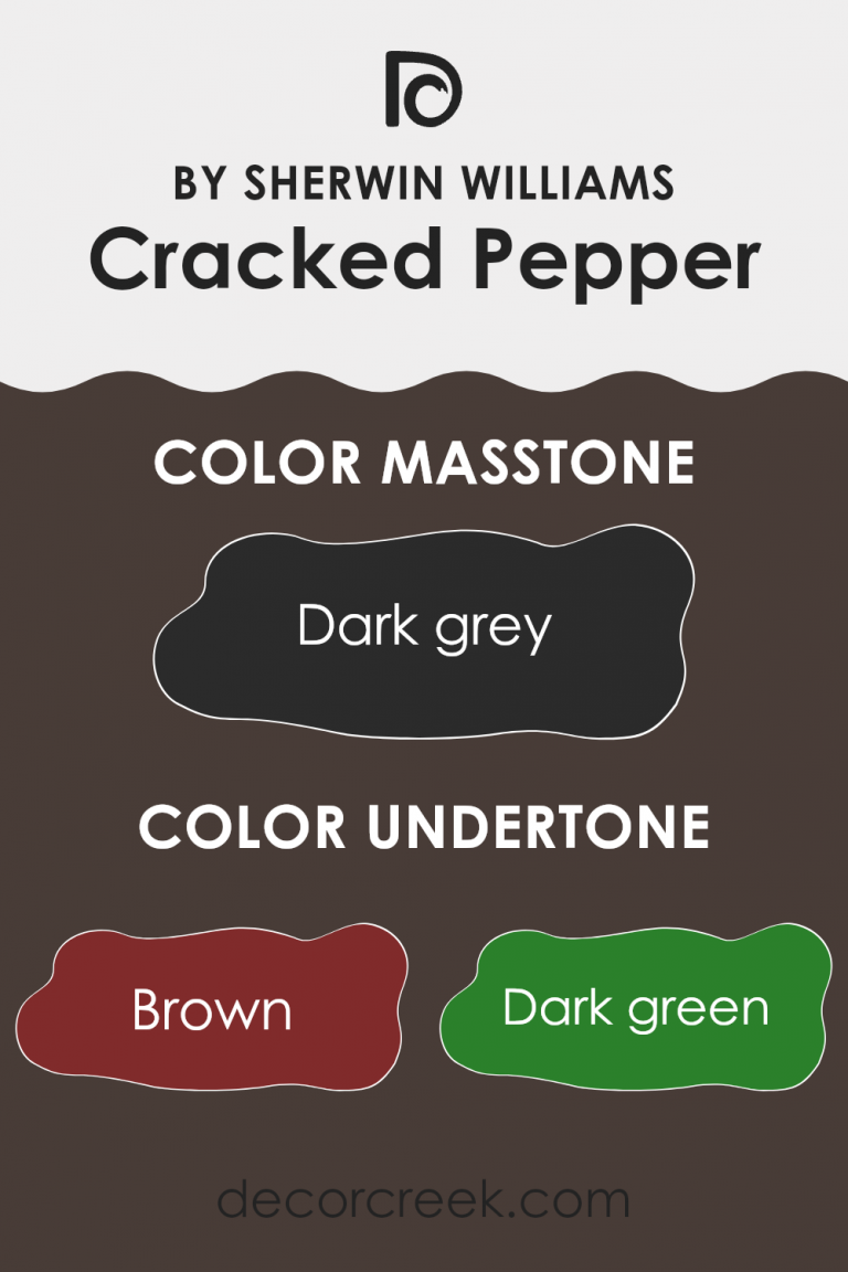 Cracked Pepper SW 9580 Paint Color by Sherwin Williams - DecorCreek