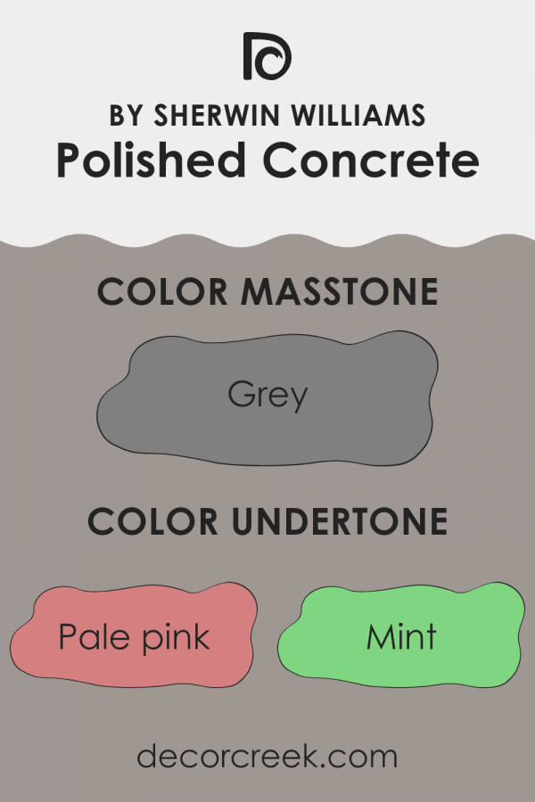 Polished Concrete SW 9167 Paint Color by Sherwin Williams - DecorCreek