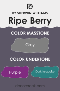 Ripe Berry SW 9689 Paint Color by Sherwin Williams - DecorCreek