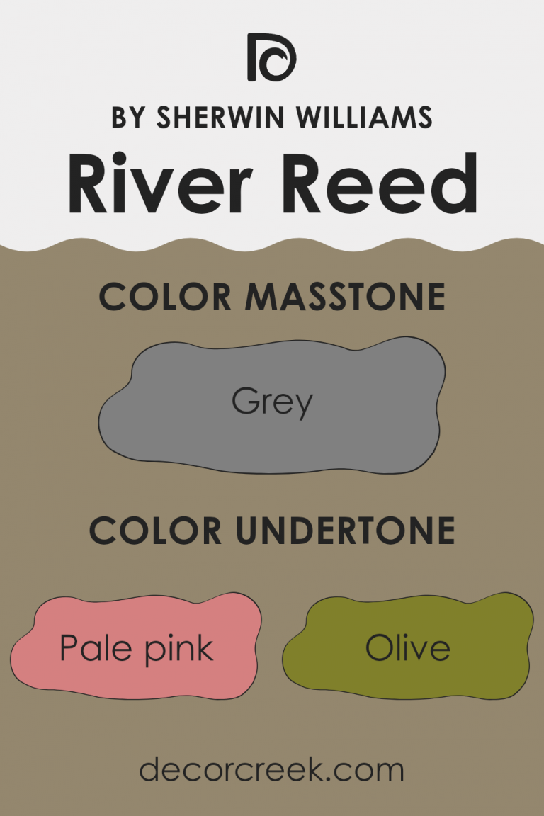 River Reed SW 9534 Paint Color by Sherwin Williams - DecorCreek