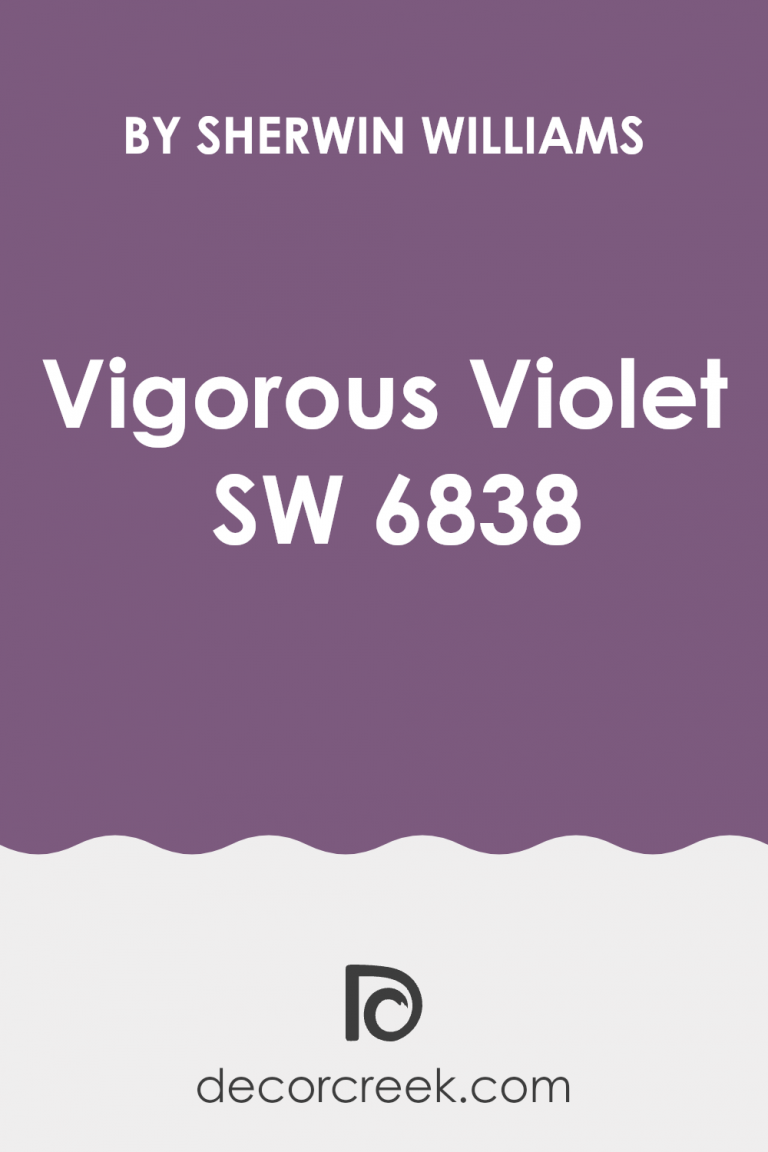 Vigorous Violet SW 6838 Paint Color by Sherwin Williams - DecorCreek