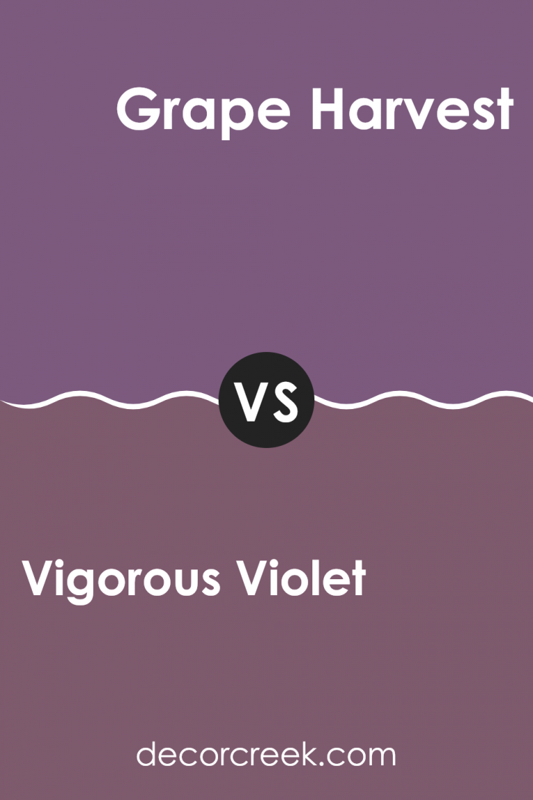Vigorous Violet SW 6838 Paint Color by Sherwin Williams - DecorCreek
