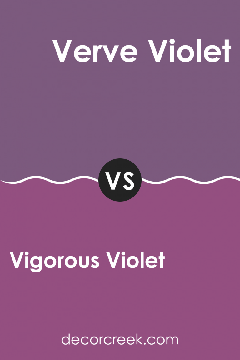 Vigorous Violet SW 6838 Paint Color by Sherwin Williams - DecorCreek