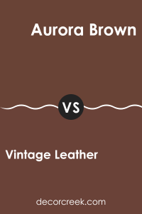 Vintage Leather SW 6062 Paint Color by Sherwin Williams - DecorCreek