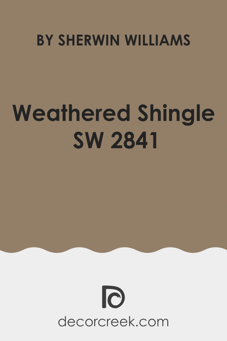 Weathered Shingle SW 2841 Paint Color by Sherwin Williams - DecorCreek