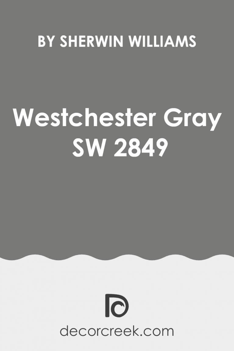 Westchester Gray SW 2849 Paint Color by Sherwin Williams - DecorCreek