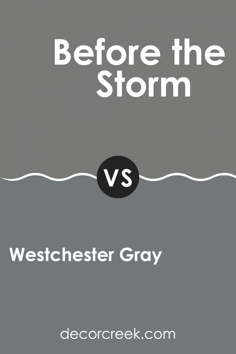Westchester Gray SW 2849 Paint Color by Sherwin Williams - DecorCreek