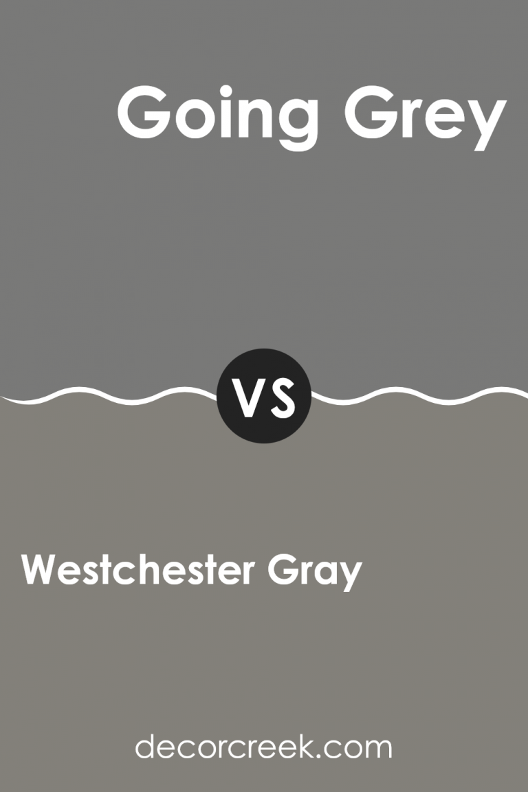 Westchester Gray SW 2849 Paint Color by Sherwin Williams - DecorCreek