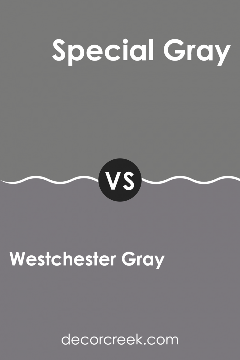 Westchester Gray SW 2849 Paint Color by Sherwin Williams - DecorCreek
