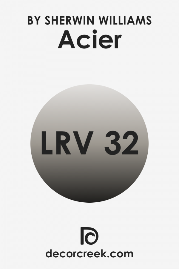 Acier SW 9170 Paint Color by Sherwin Williams - DecorCreek