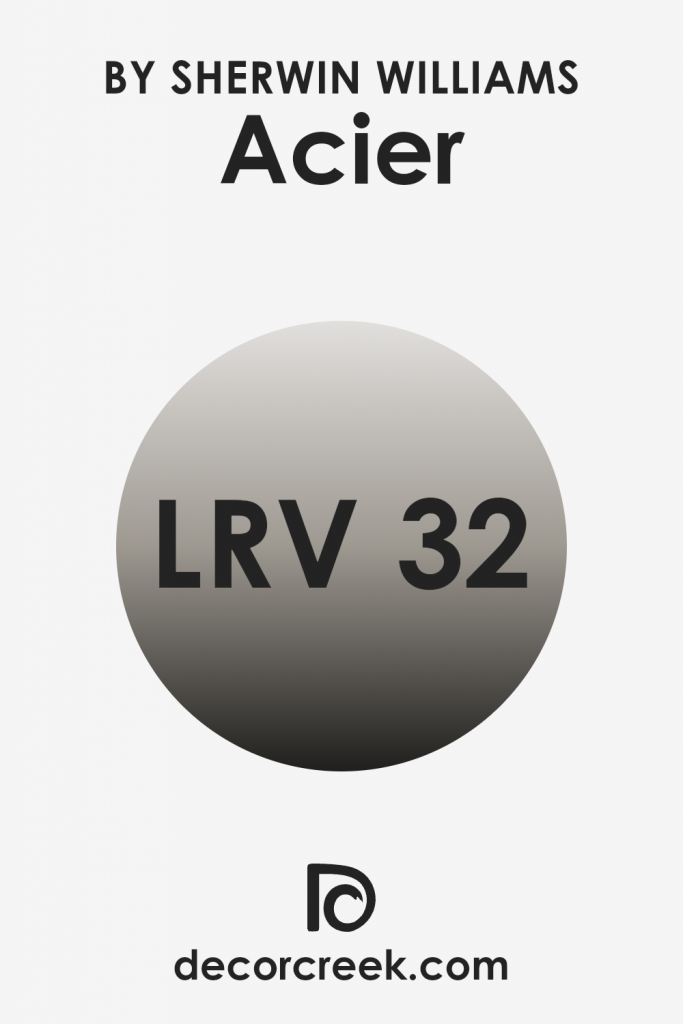 Acier SW 9170 Paint Color by Sherwin Williams - DecorCreek