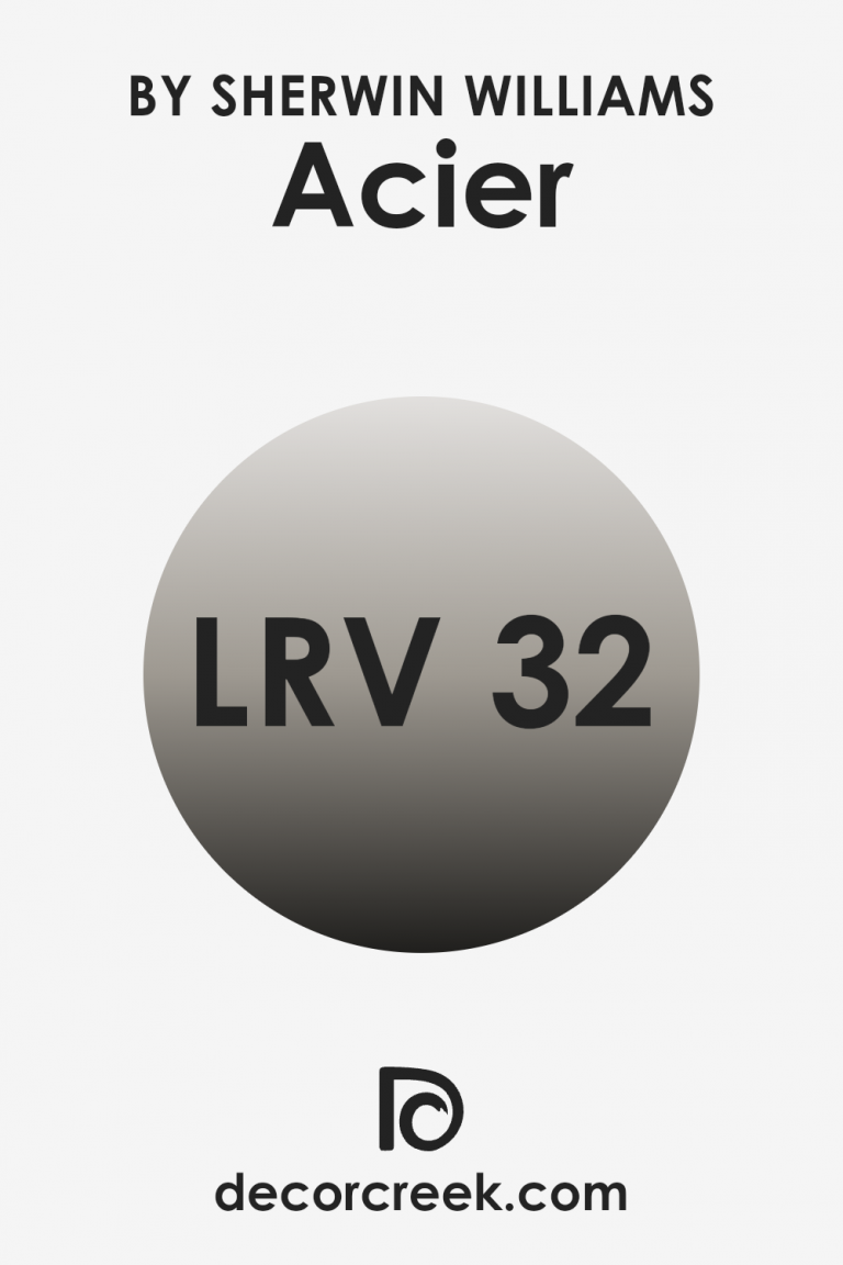 Acier SW 9170 Paint Color by Sherwin Williams - DecorCreek