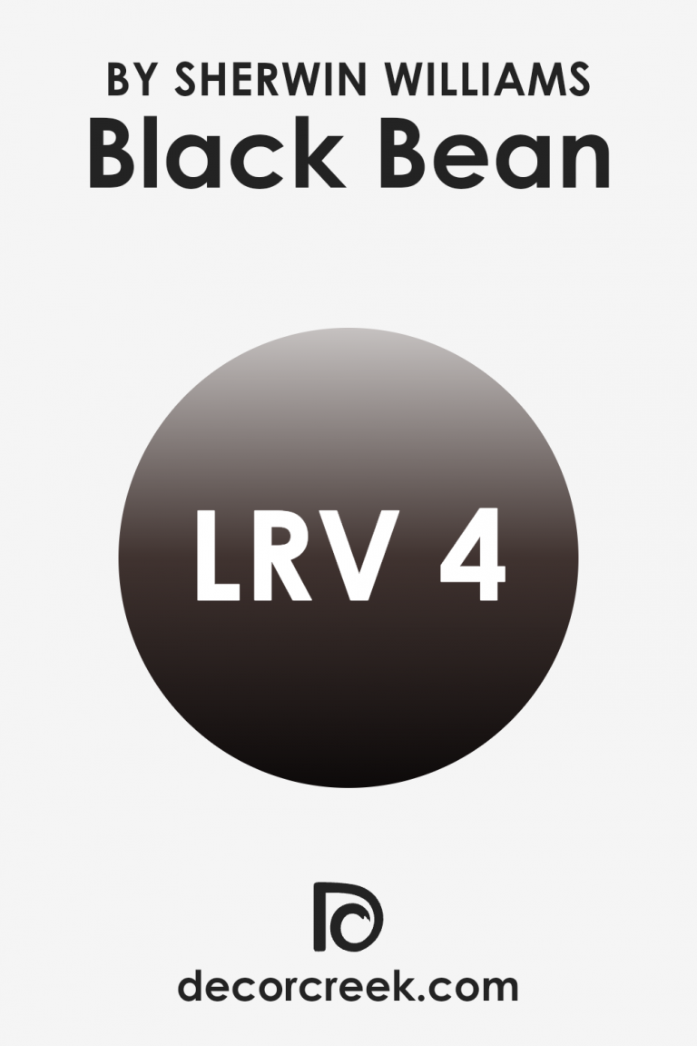 Black Bean SW 6006 Paint Color by Sherwin Williams - DecorCreek