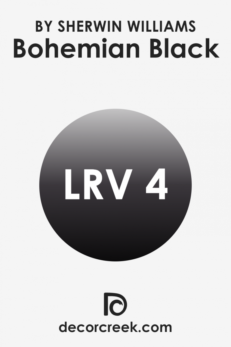 Bohemian Black SW 6988 Paint Color by Sherwin Williams - DecorCreek