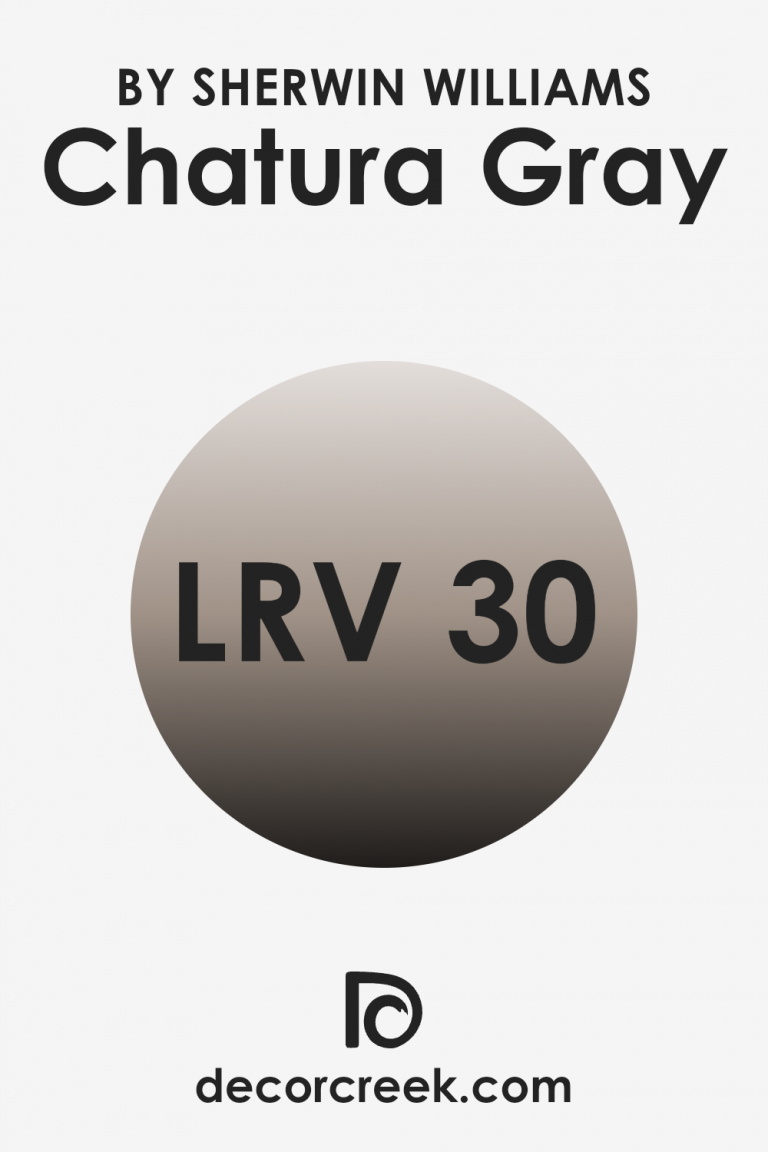 Chatura Gray SW 9169 Paint Color by Sherwin Williams - DecorCreek