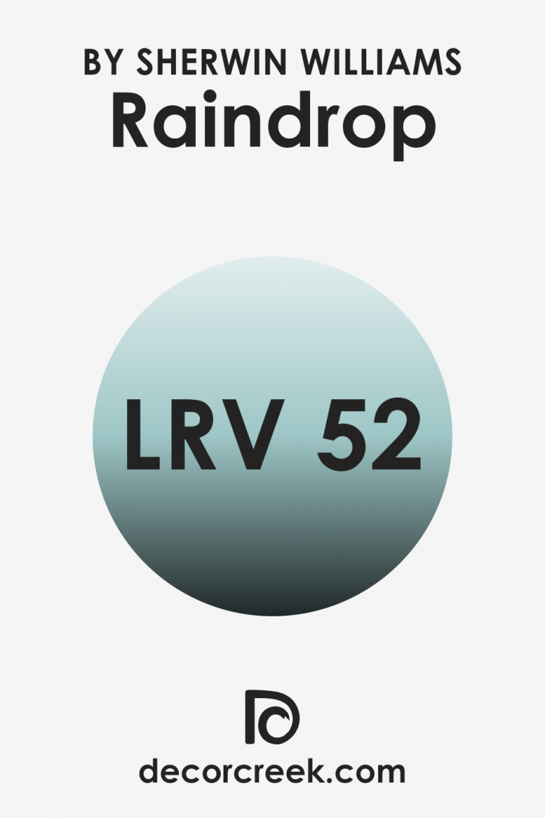 Raindrop SW 6485 Paint Color by Sherwin Williams - DecorCreek