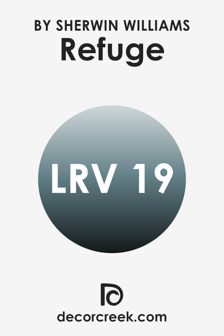 Refuge SW 6228 Paint Color by Sherwin Williams - DecorCreek