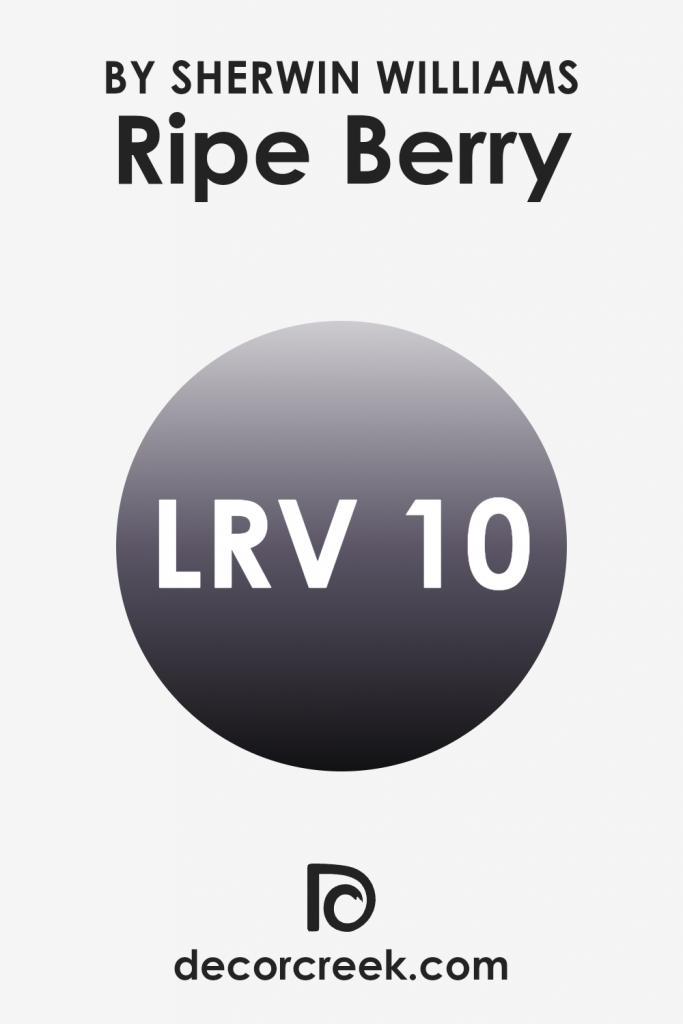 Ripe Berry SW 9689 Paint Color by Sherwin Williams - DecorCreek