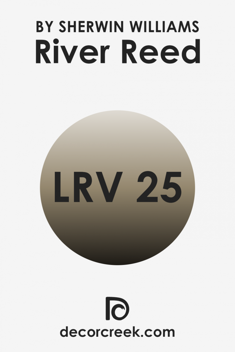 River Reed SW 9534 Paint Color by Sherwin Williams - DecorCreek