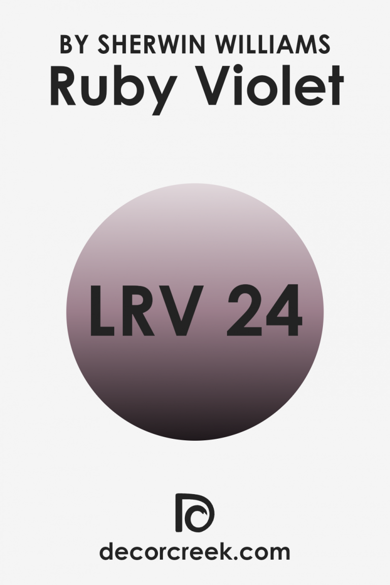 Ruby Violet SW 9076 Paint Color by Sherwin Williams - DecorCreek