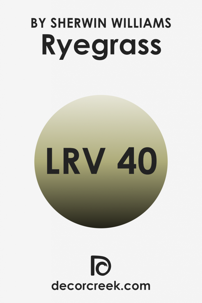 Ryegrass SW 6423 Paint Color by Sherwin Williams - DecorCreek