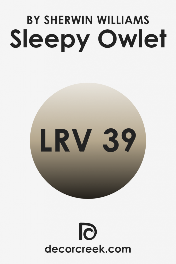 Sleepy Owlet SW 9513 Paint Color by Sherwin Williams - DecorCreek
