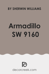 Armadillo SW 9160 Paint Color by Sherwin Williams - DecorCreek