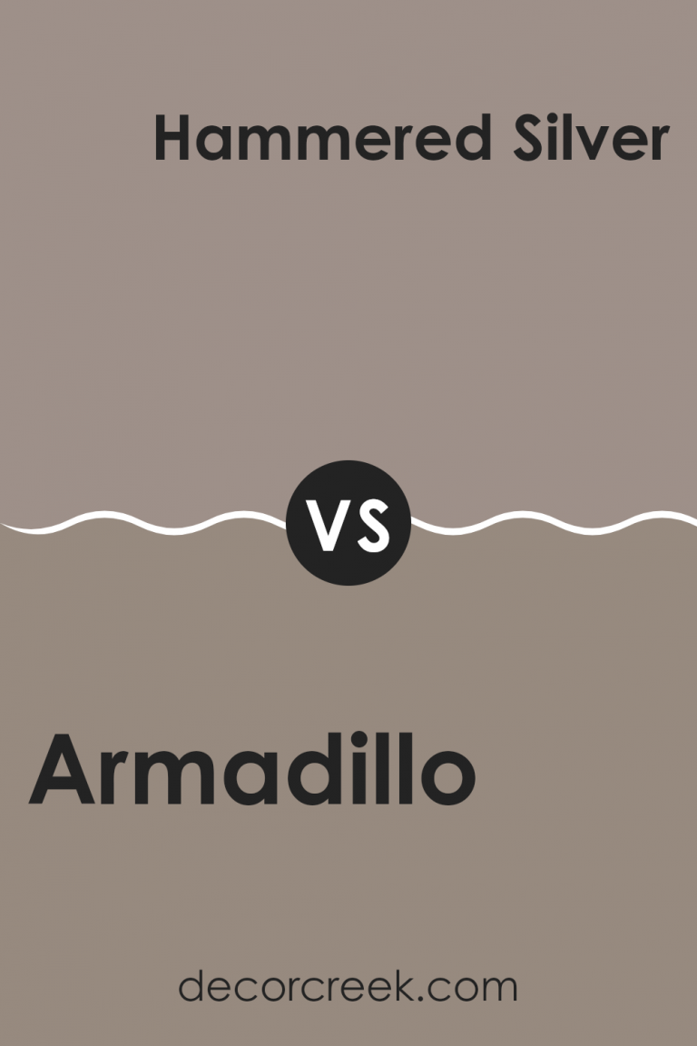 Armadillo SW 9160 Paint Color by Sherwin Williams - DecorCreek