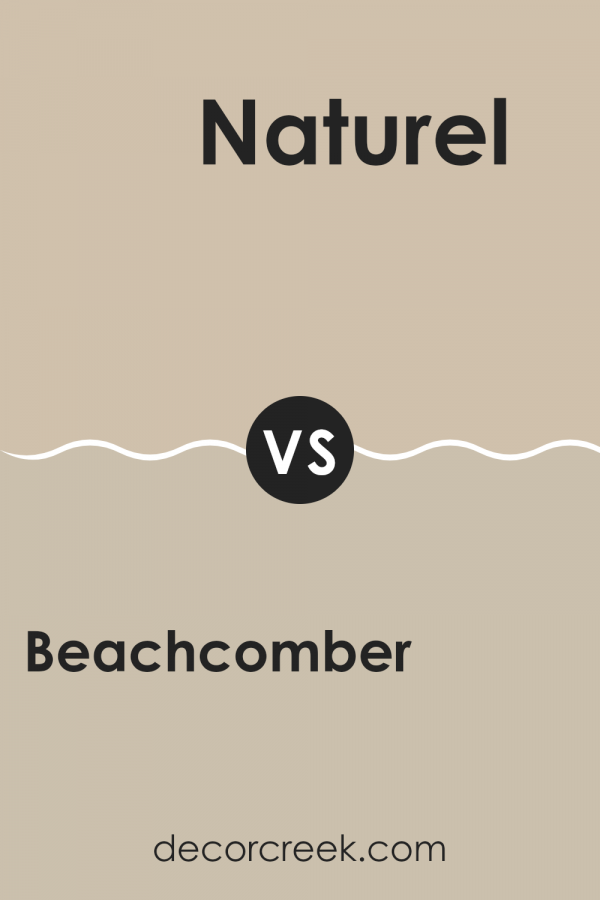 Beachcomber SW 9617 Paint Color by Sherwin Williams - DecorCreek