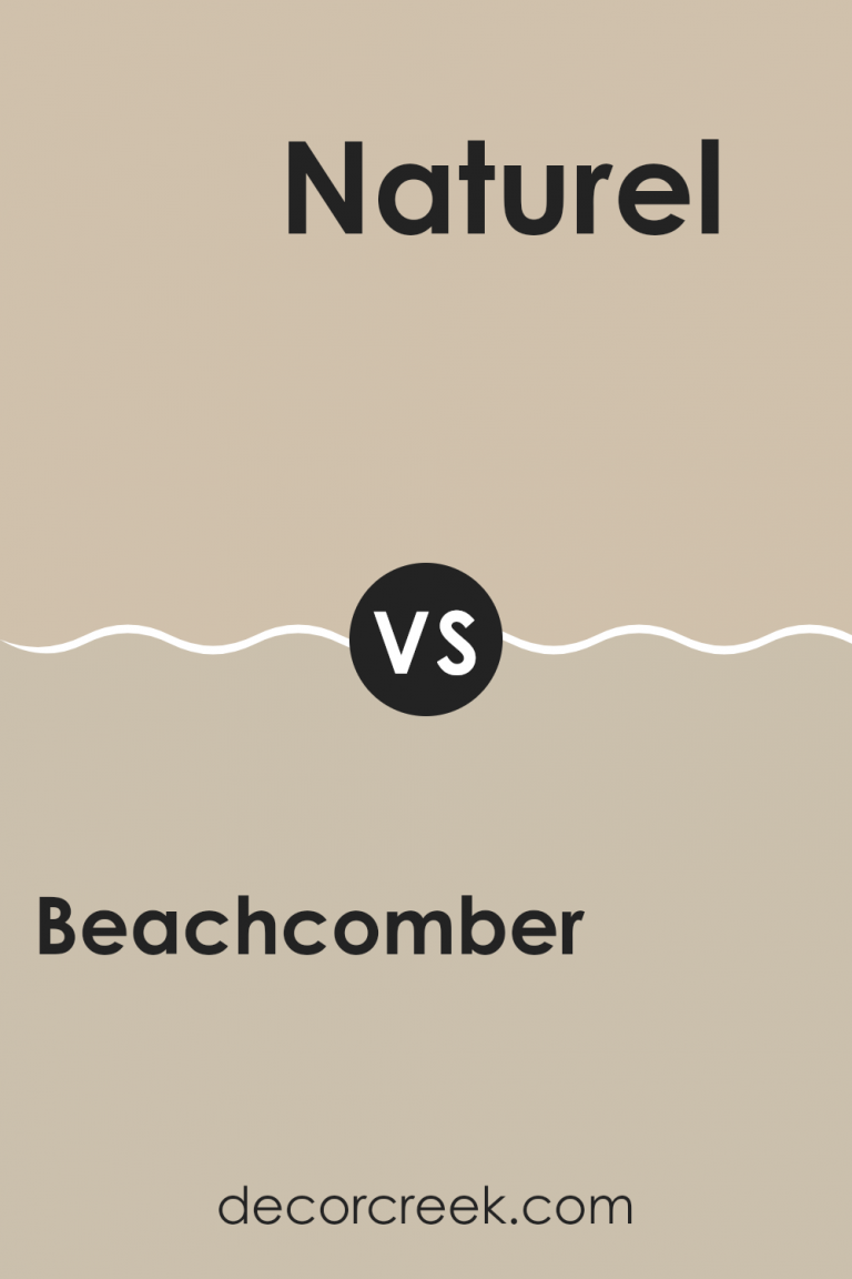 Beachcomber SW 9617 Paint Color by Sherwin Williams - DecorCreek