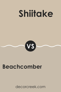 Beachcomber SW 9617 Paint Color by Sherwin Williams - DecorCreek