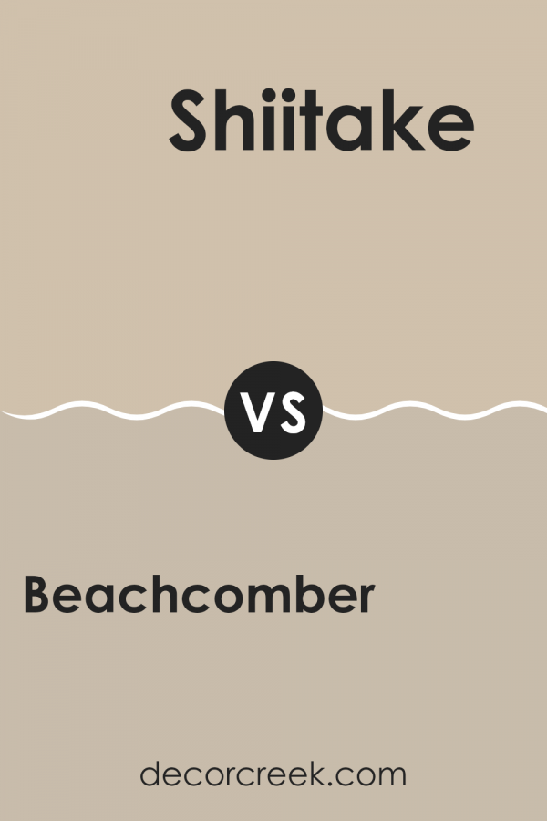 Beachcomber SW 9617 Paint Color by Sherwin Williams - DecorCreek