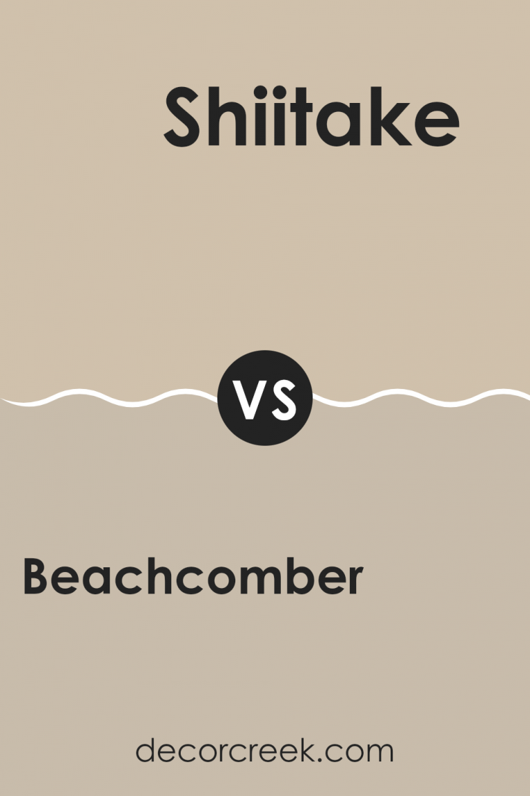 Beachcomber SW 9617 Paint Color by Sherwin Williams - DecorCreek