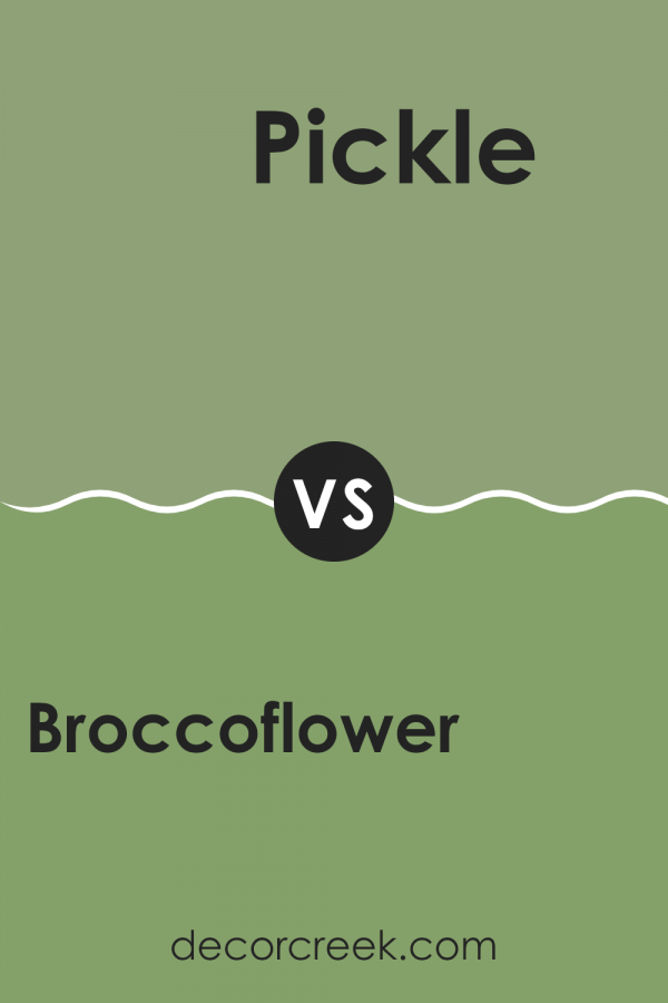 Broccoflower SW 9039 Paint Color by Sherwin Williams - DecorCreek