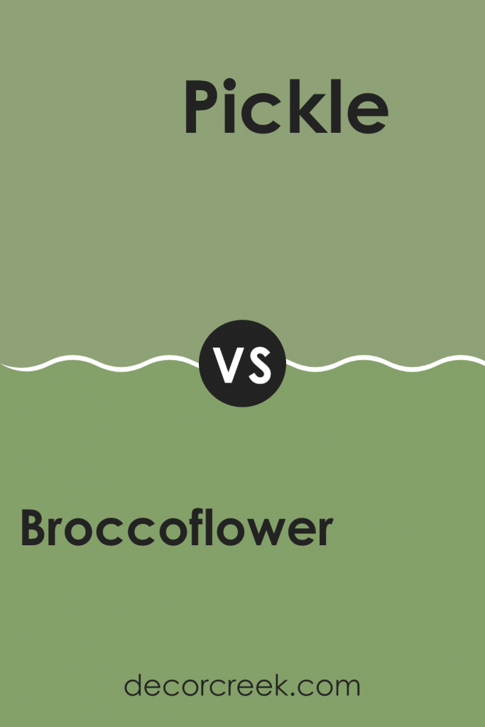 Broccoflower SW 9039 Paint Color by Sherwin Williams - DecorCreek