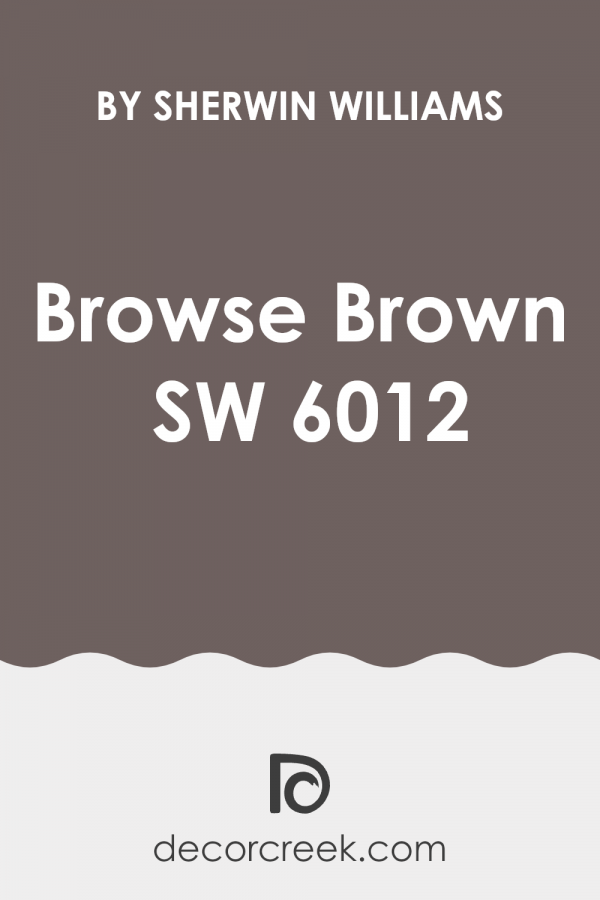 Browse Brown SW 6012 Paint Color by Sherwin Williams - DecorCreek