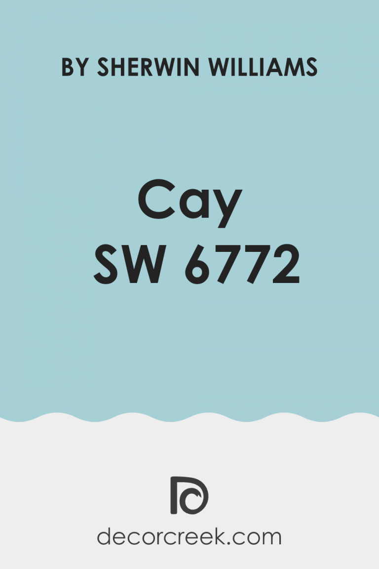 Cay SW 6772 Paint Color by Sherwin Williams - DecorCreek