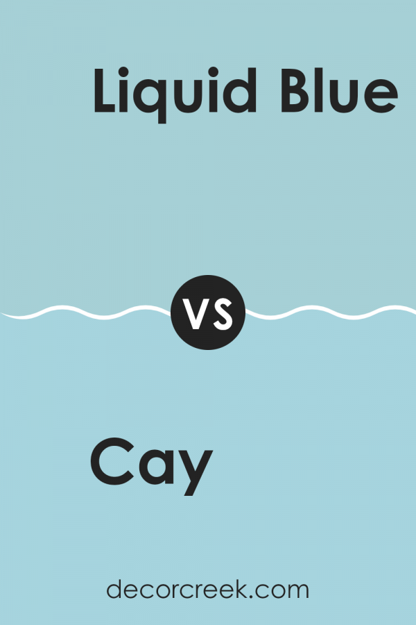 Cay SW 6772 Paint Color by Sherwin Williams - DecorCreek