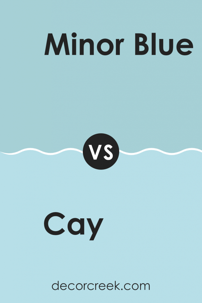 Cay SW 6772 Paint Color by Sherwin Williams - DecorCreek