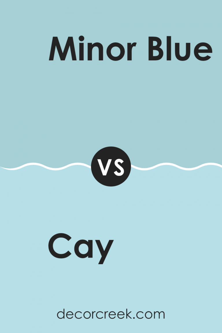 Cay SW 6772 Paint Color by Sherwin Williams - DecorCreek