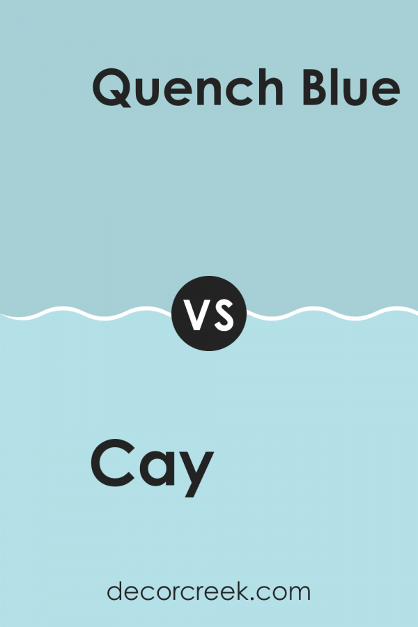 Cay SW 6772 Paint Color by Sherwin Williams - DecorCreek