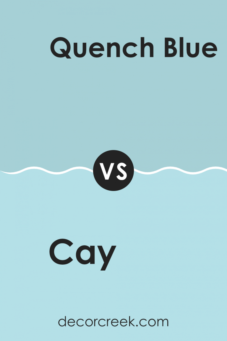 Cay SW 6772 Paint Color by Sherwin Williams - DecorCreek