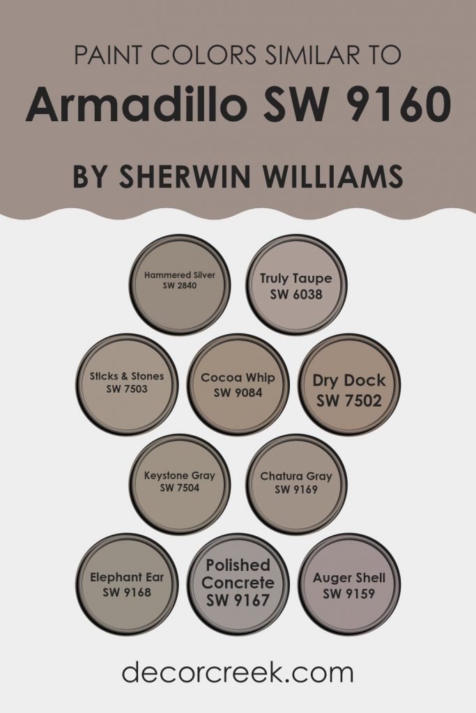 Armadillo SW 9160 Paint Color by Sherwin Williams - DecorCreek