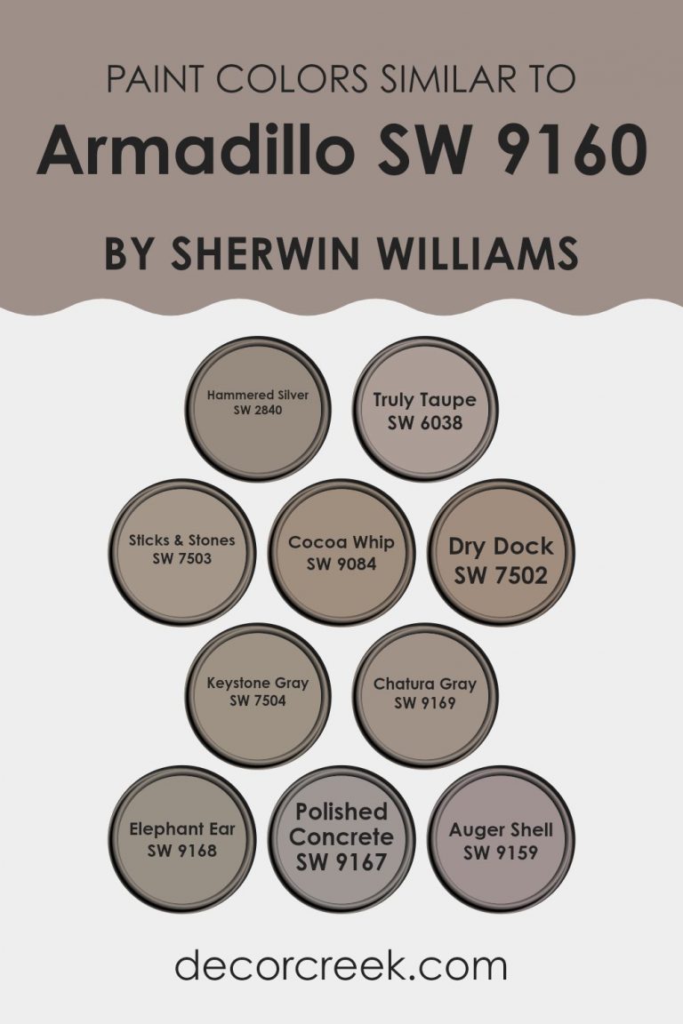 Armadillo SW 9160 Paint Color by Sherwin Williams - DecorCreek