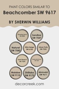 Beachcomber SW 9617 Paint Color by Sherwin Williams - DecorCreek