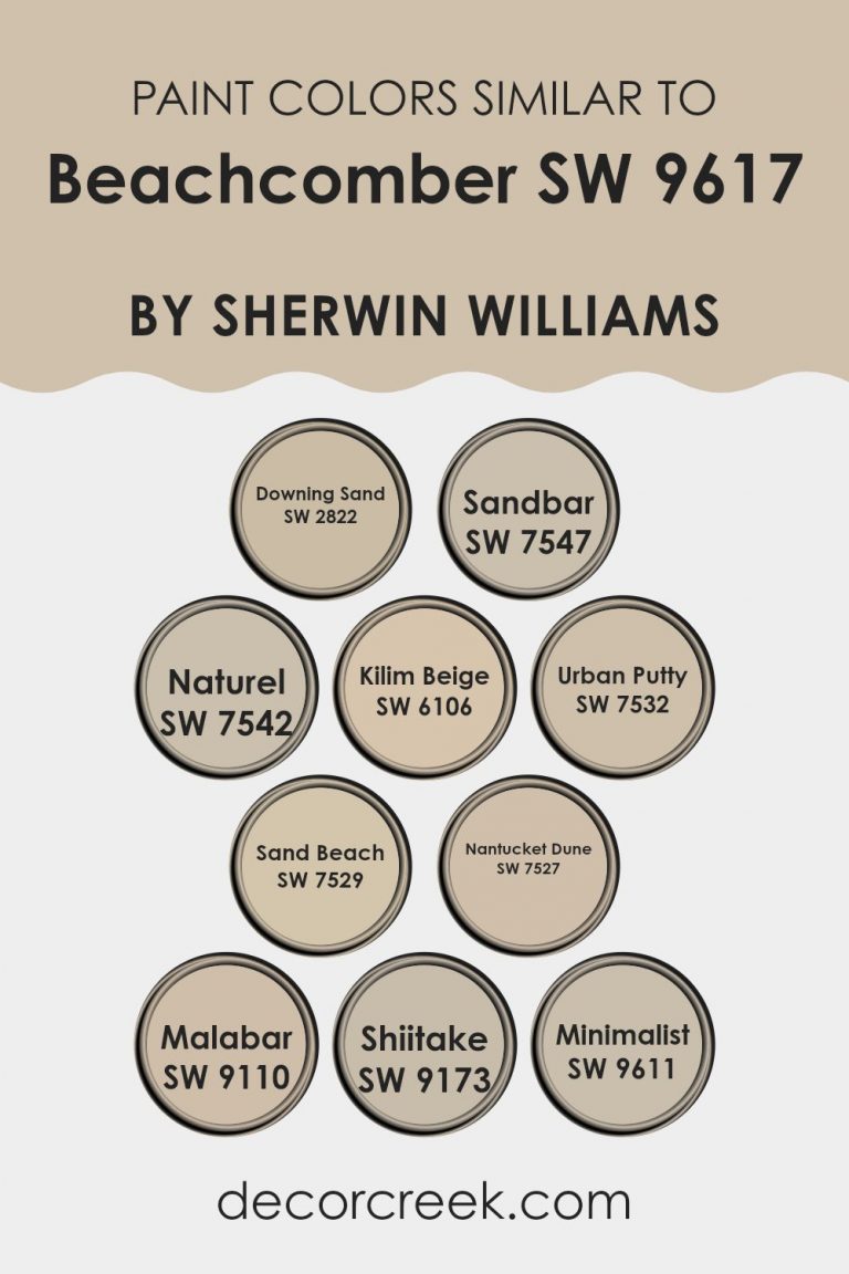 Beachcomber SW 9617 Paint Color by Sherwin Williams - DecorCreek